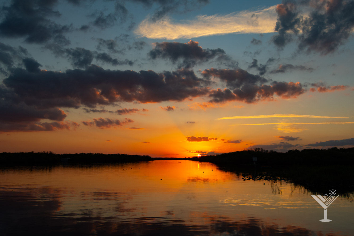 Book trailer pops for SHOCKED BY CHAMPAGNE! - Lucy Lakestone