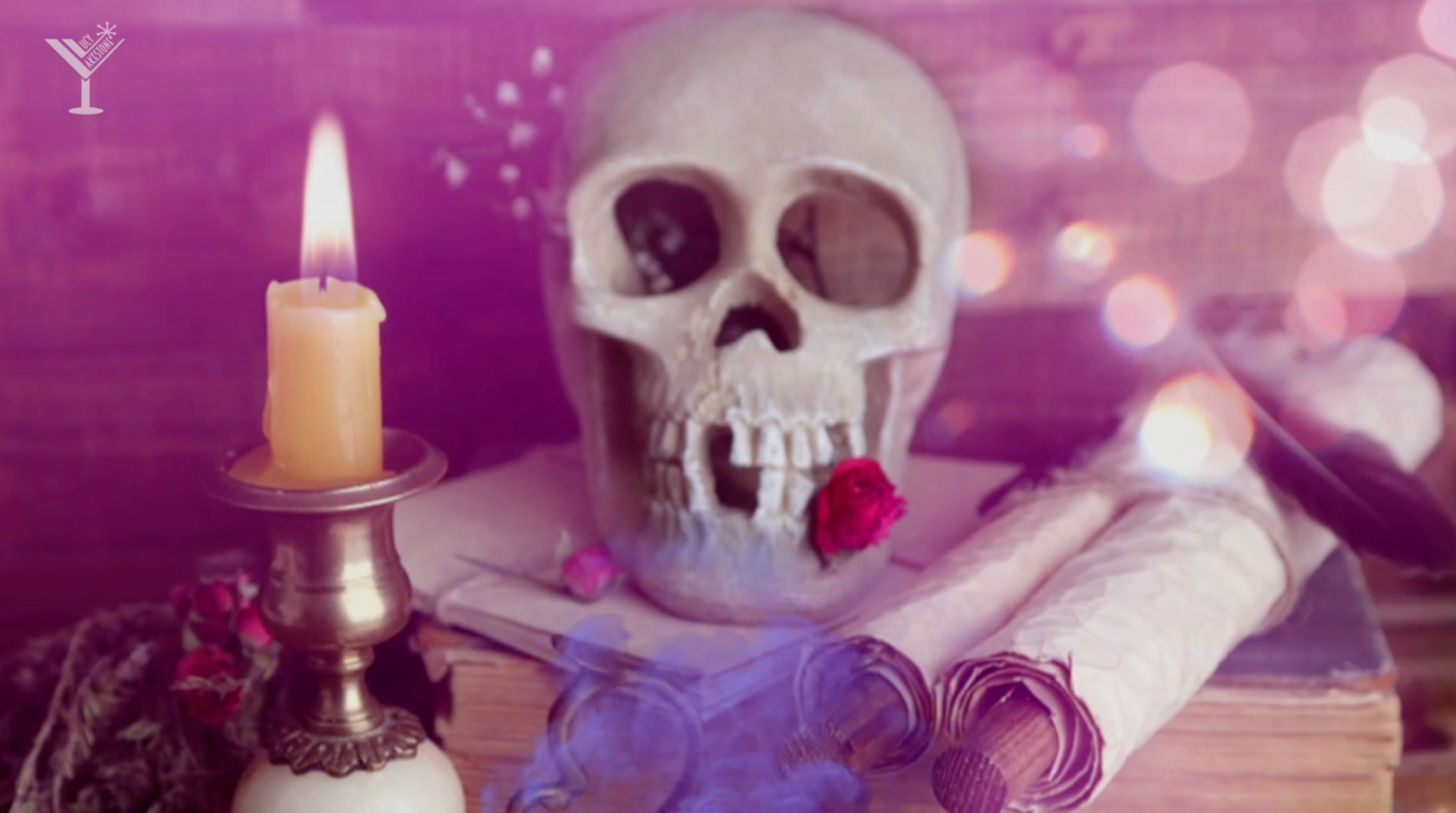 A wild weekend in NOLA - it's the WHY OH RYE? book trailer! - Lucy ...